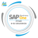 SAP Business One para empresas de 6 a 15 usuarios Guatemala